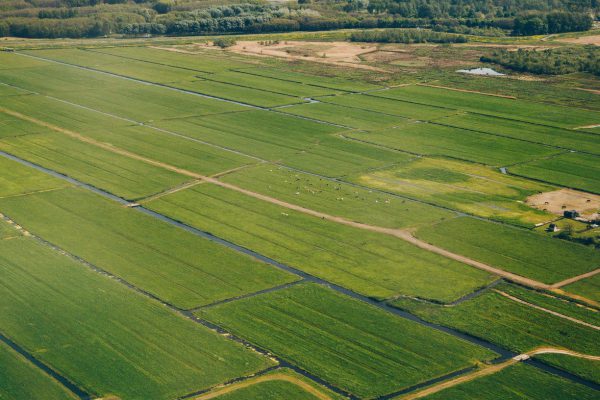 Welkom bij het Agrarisch Laboratorium Noord-Nederland - ALNN B.V.